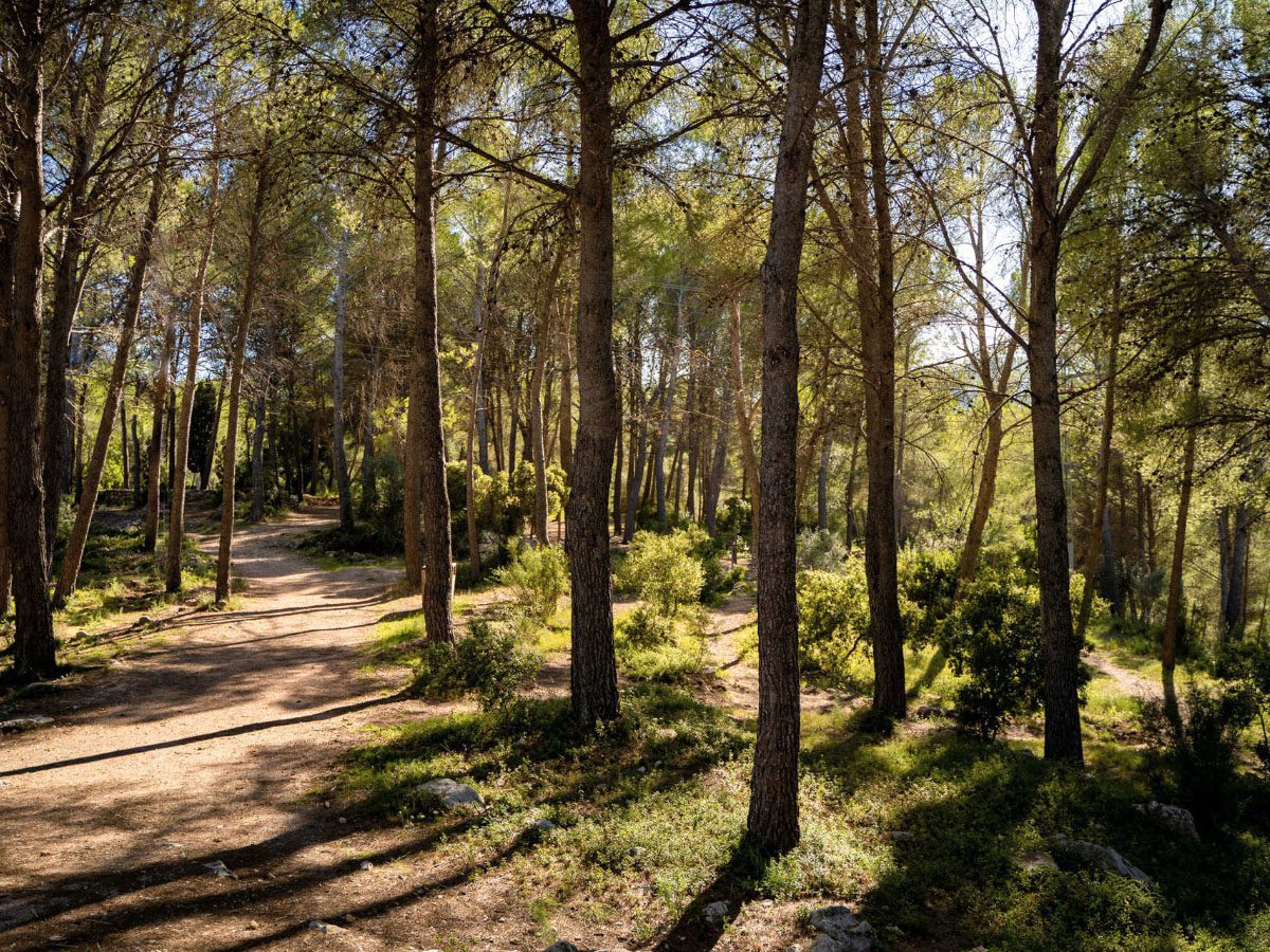 Jalón | Complete gids met Tips & Highlights (2026)